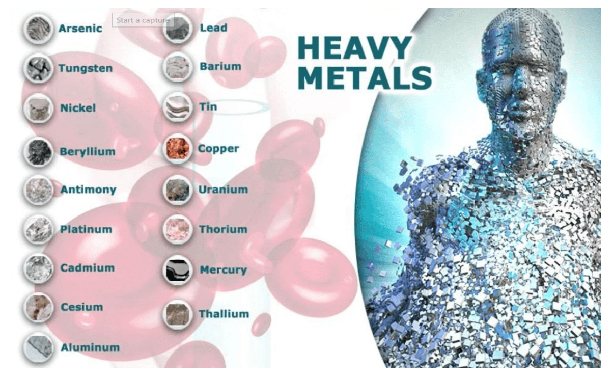 Take Control of Your Health at Home - Know how Heavy Metals Affect You ...